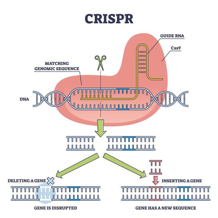 Helping CRISPR-Cas technology unleash its full potential