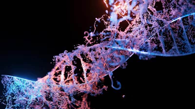 Breaking new ground: our longest DNA construct