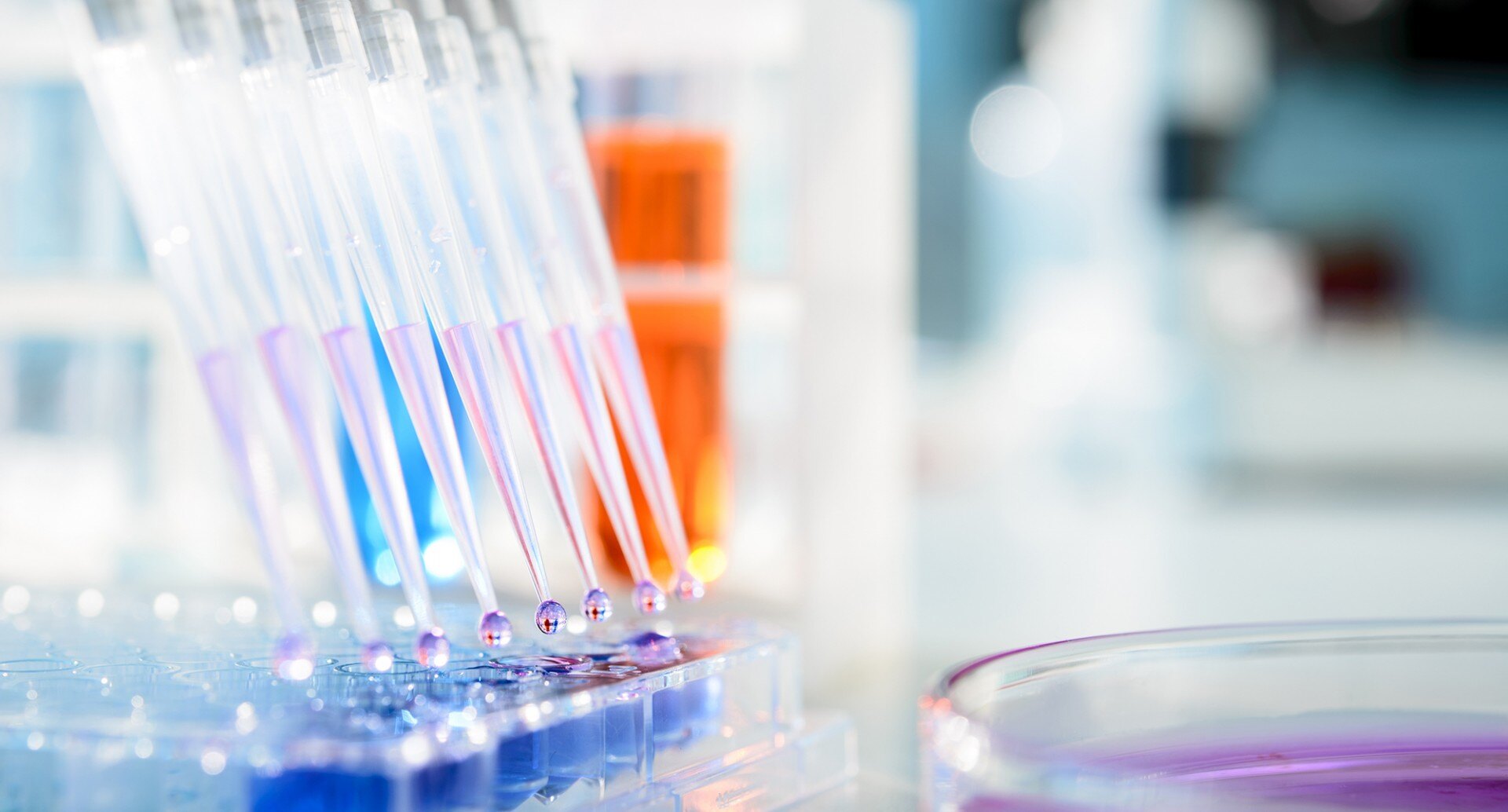 Camena Bioscience: Dr Nicola Thompson appointed as Chair of the Board